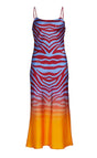 Blue Zebra Ombre Silk Slip Dress – BruceGlen